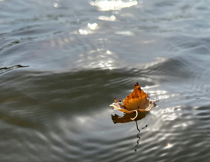 Embracing the Flow of Life: The Art of Letting Go and Trusting the ...